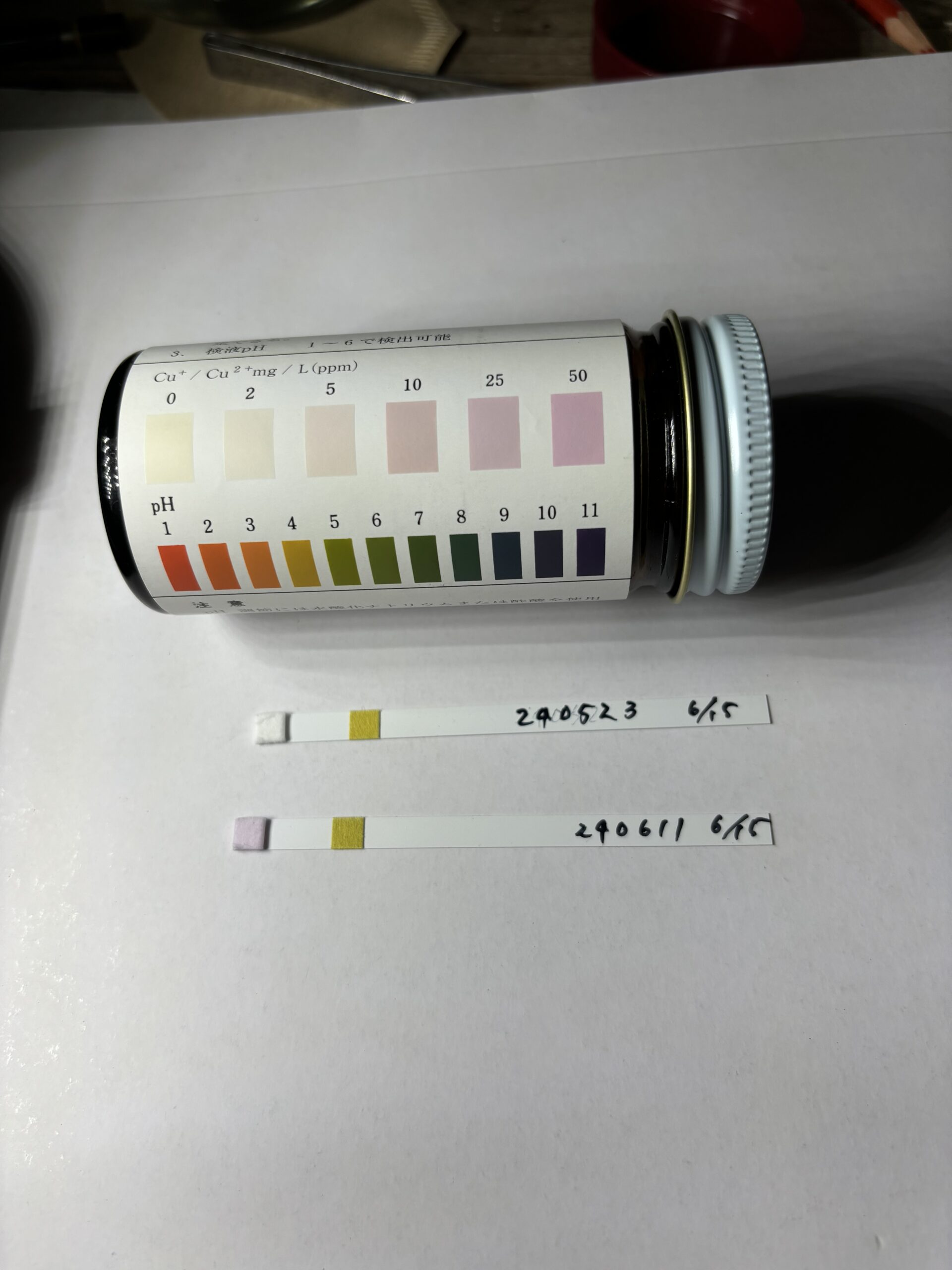 IMG_2277 | 安曇野裏山クラブ